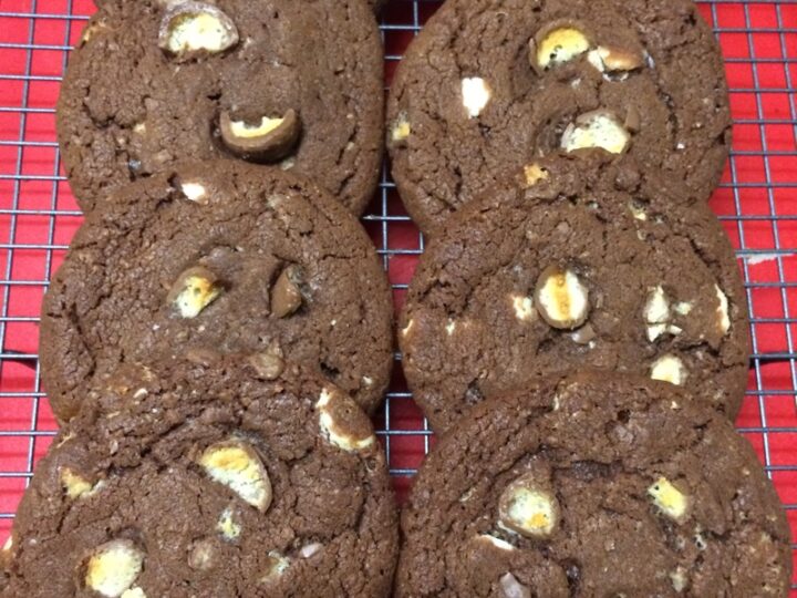 Thermomix Devils Double Chocolate Malt Cookies - ThermoFun | Thermo